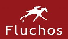 FLUCHOS | FREE SHIPPING IN IRELAND – Logues Shoes